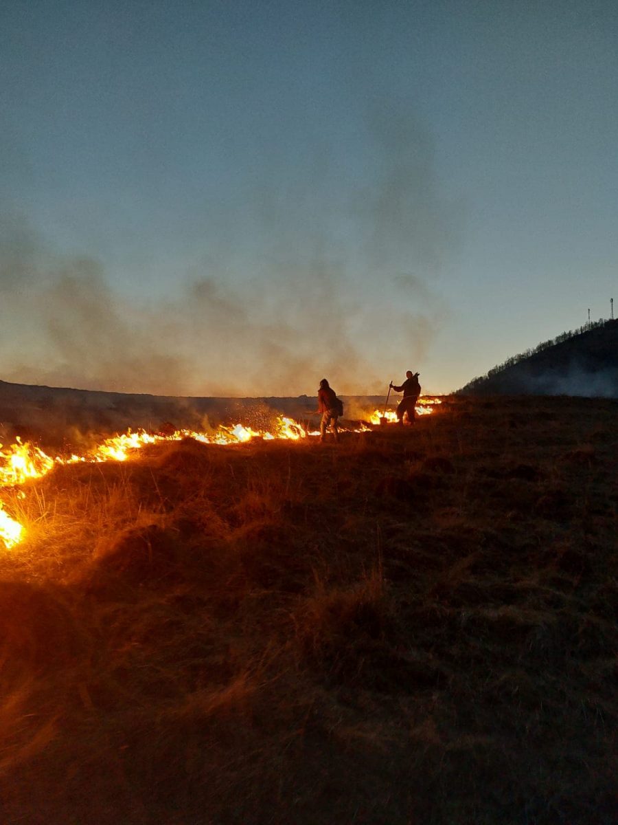 Arde Alba: Șase hectare au ars, în urma unui incendiu de vegetație la ...